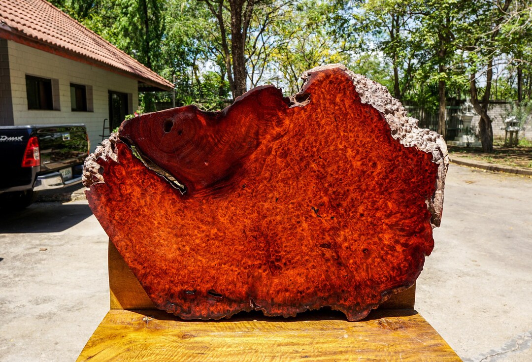 Rare!! Amboyna BURL LUMBER Live Edge DIY Epoxy Resin Natural Slab Wood ...