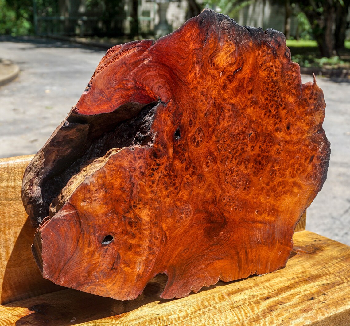 Gold Amboyna BURL LUMBER Wood Natural Slab Live Edge Epoxy Resin Table ...