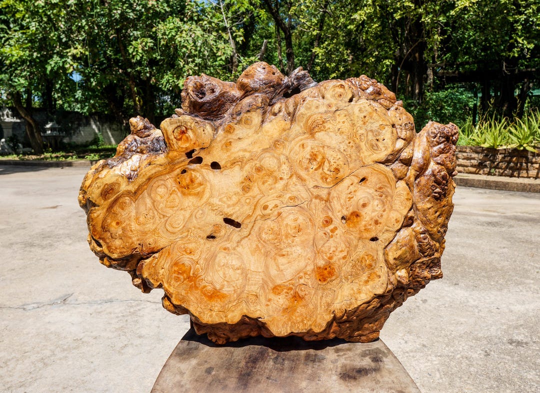 Siamese Neem Tree BURL Live Edge Epoxy DIY Wood Resin Table Top Natural ...