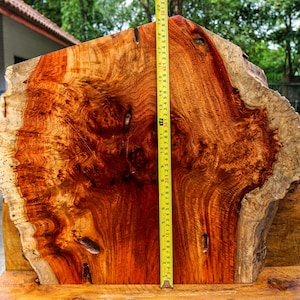 Golden Amboyna BURL LUMBER Live Edge Resin Epoxy DIY Natural Slab Wood ...
