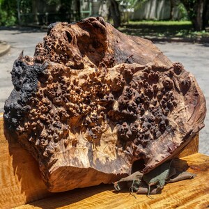 Gold Amboyna BURL LUMBER Wood Natural Slab Live Edge Epoxy Resin Table ...