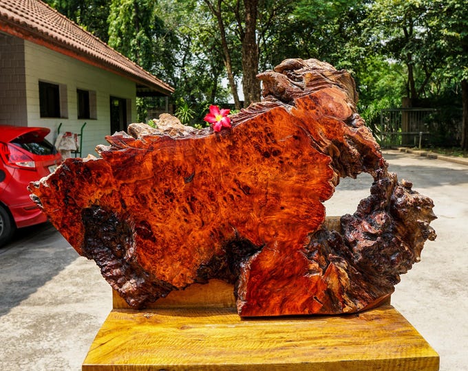 Rare Amboyna BURL LUMBER Live Edge Resin Epoxy DIY Natural Slab Wood ...