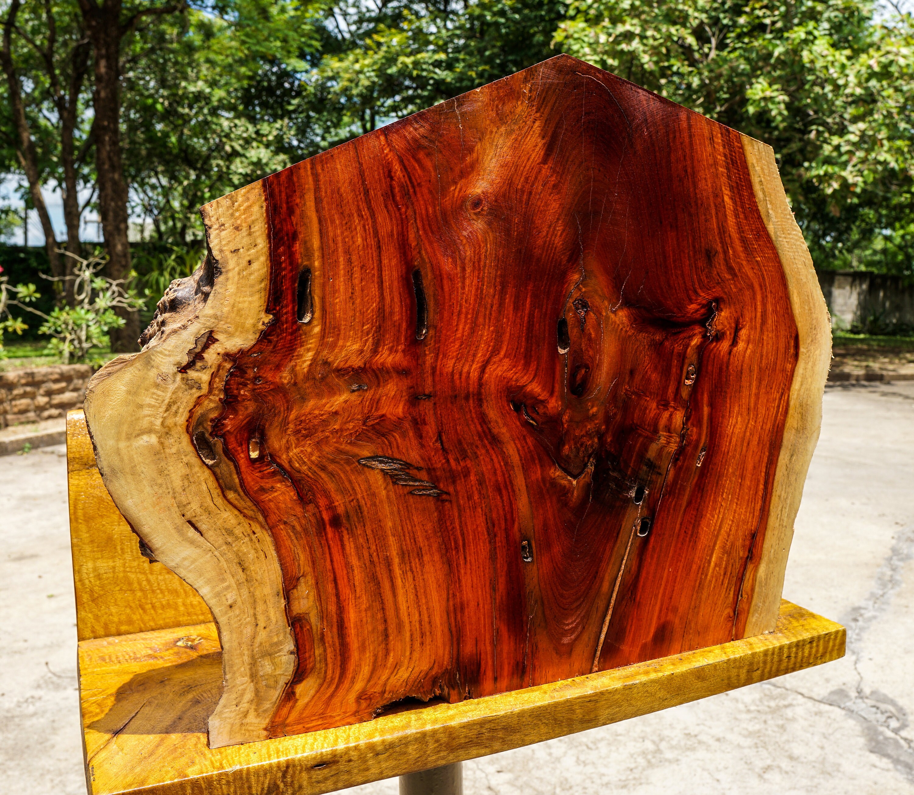 Red Amboyna BURL LUMBER Live Edge Resin Epoxy DIY Natural Slab Wood ...
