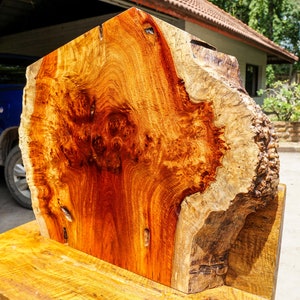 Golden Amboyna BURL LUMBER Live Edge Resin Epoxy DIY Natural Slab Wood ...