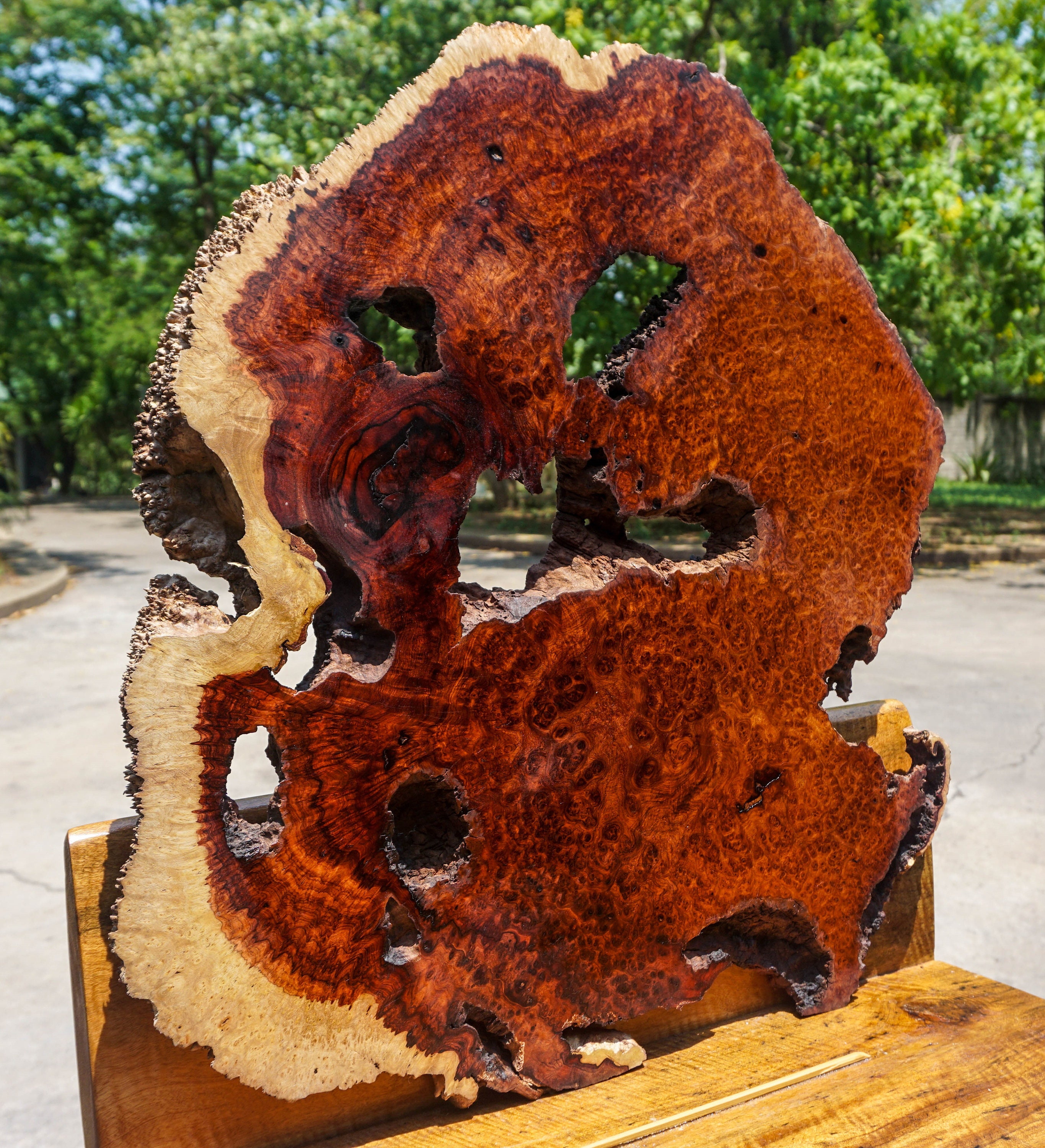 Rare Red Amboyna BURL LUMBER Live Edge DIY Woodwork Resin Epoxy Table ...