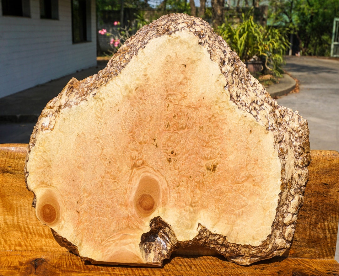 Rare Bungor BURL LUMBER Live Edge Natural Slab Wood Resin Epoxy Table ...