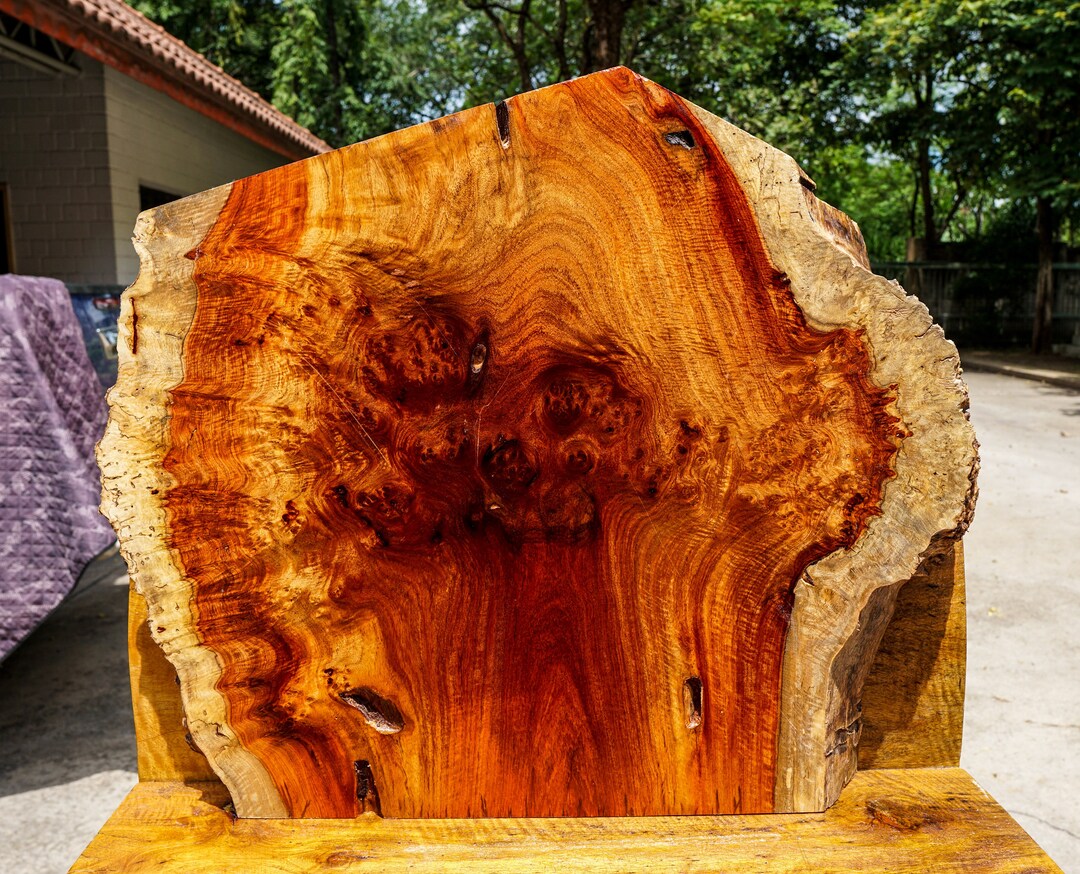 Golden Amboyna BURL LUMBER Live Edge Resin Epoxy DIY Natural Slab Wood ...