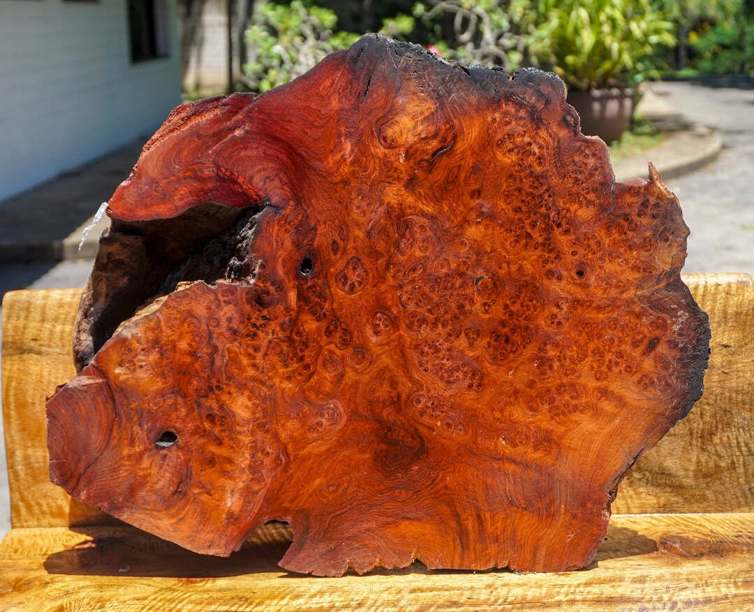 Gold Amboyna BURL LUMBER Wood Natural Slab Live Edge Epoxy Resin Table ...