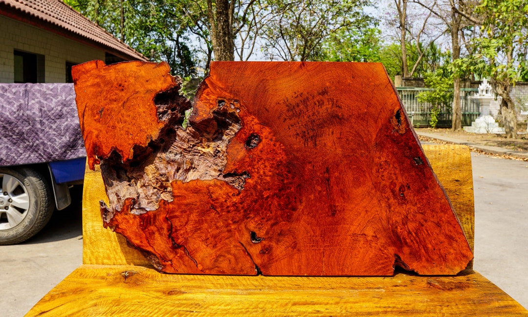 Rarered Amboyna BURL LUMBER Live Edge DIY Epoxy Resin Natural Slab ...