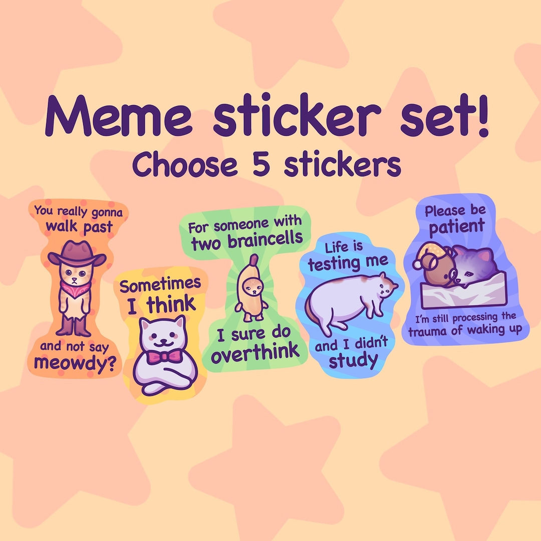 Funny Cat Vinyl Sticker Set | 5 Waterproof Meme Stickers | Sticker Pack ...