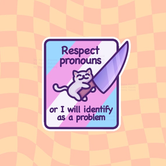 Respect Pronouns Vinyl Sticker Trans Gender Fluid & - Etsy UK