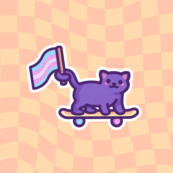 Cute Trans Pride Sticker Trans Flag Cat on Skateboard Cute - Etsy