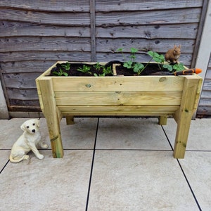 Veggie Riser 1m Raised Planter Vegetable Trough - Etsy UK