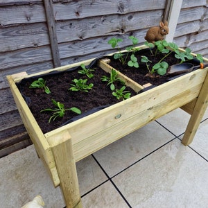 Veggie Riser 1m Raised Planter Vegetable Trough - Etsy UK