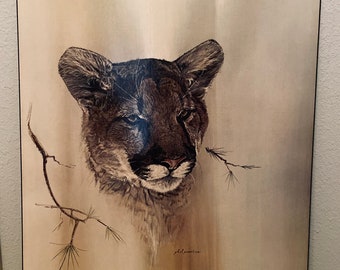 Vintage 1950s 1960s Phil Prentice Idaho Cougar Framed Print Iconic Mid ...