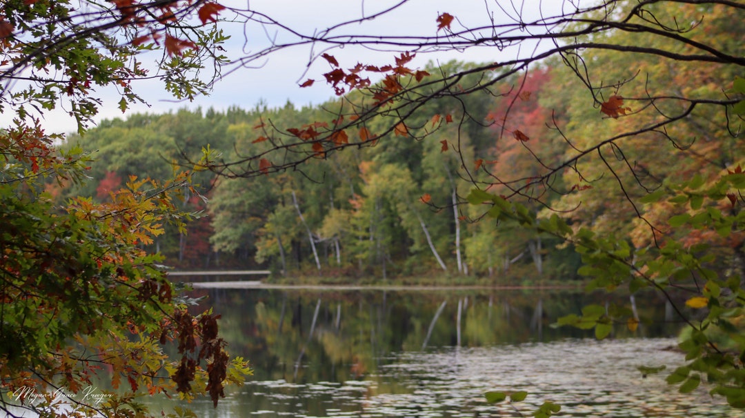 Backwoods Lake Canvas and Prints - Etsy