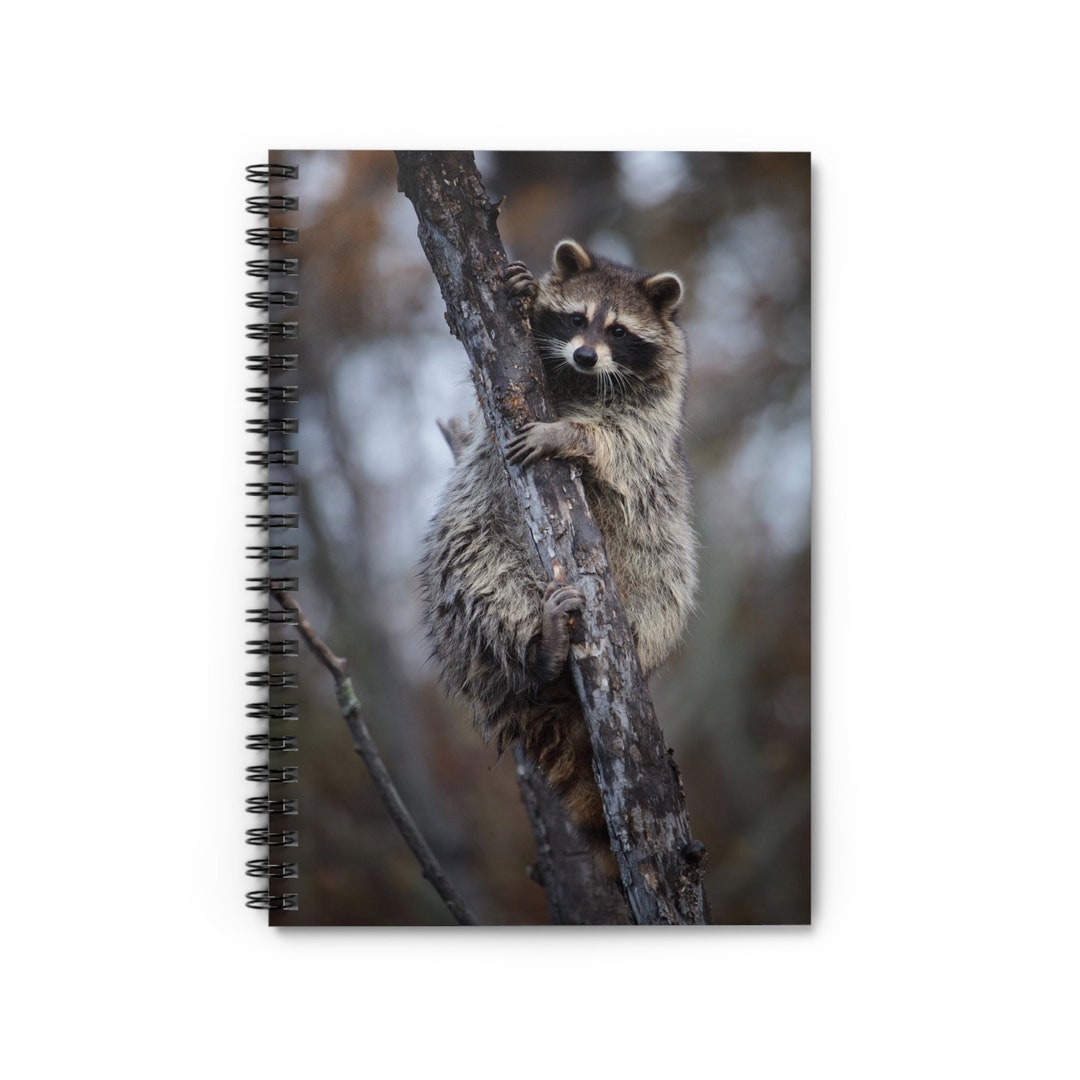 Hang in There - Cute Raccoon Spiral Notebook - Etsy
