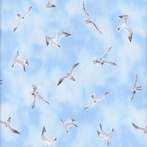 Turtle March Quilt Cotton Fabric Kit 63"x69" Featuring the Turtle March ...