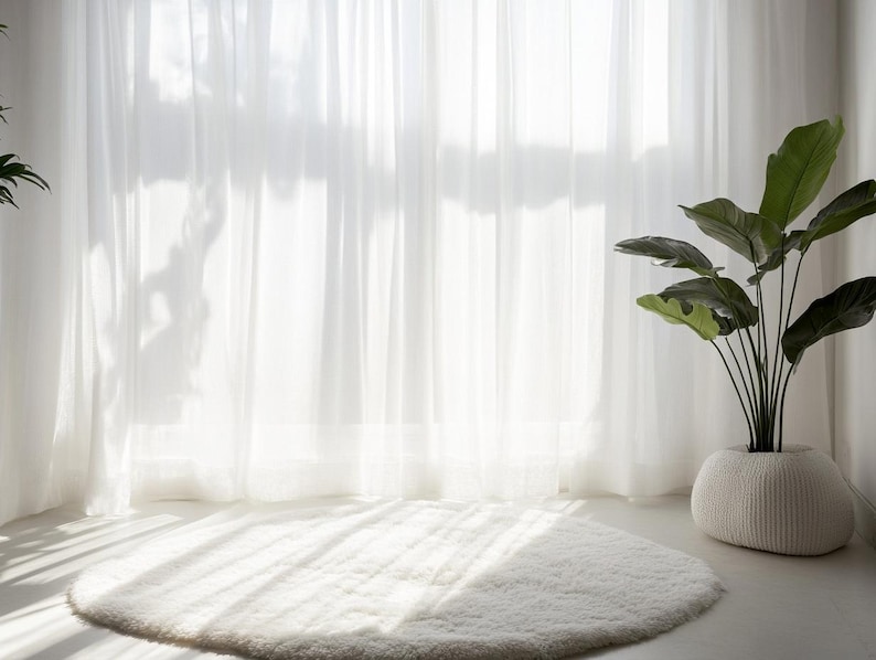 Sheer Curtains, Backlit Digital Backdrop With a White Window and ...