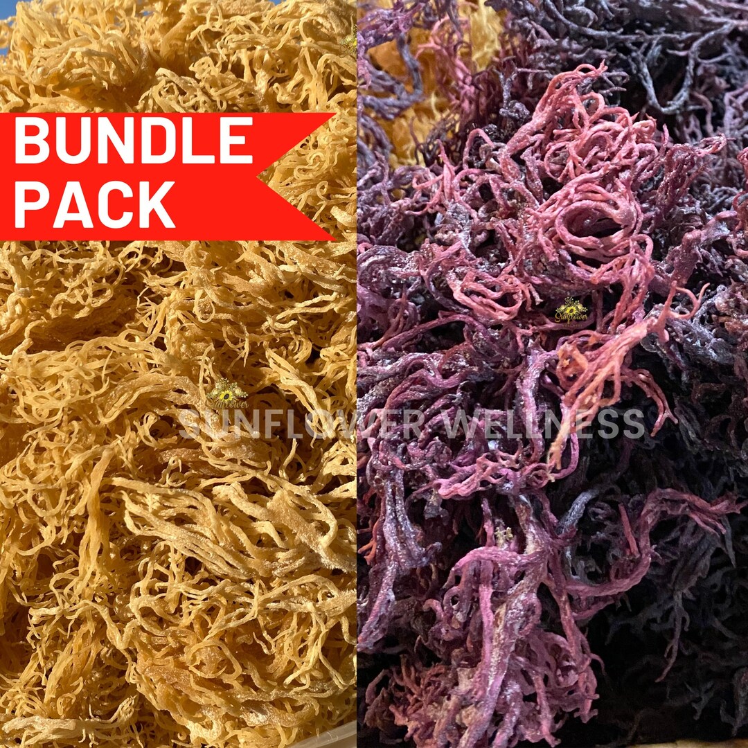 Sea Moss Bundle | Gold & Purple | Wildcrafted Raw Caribbean St. Lucia ...
