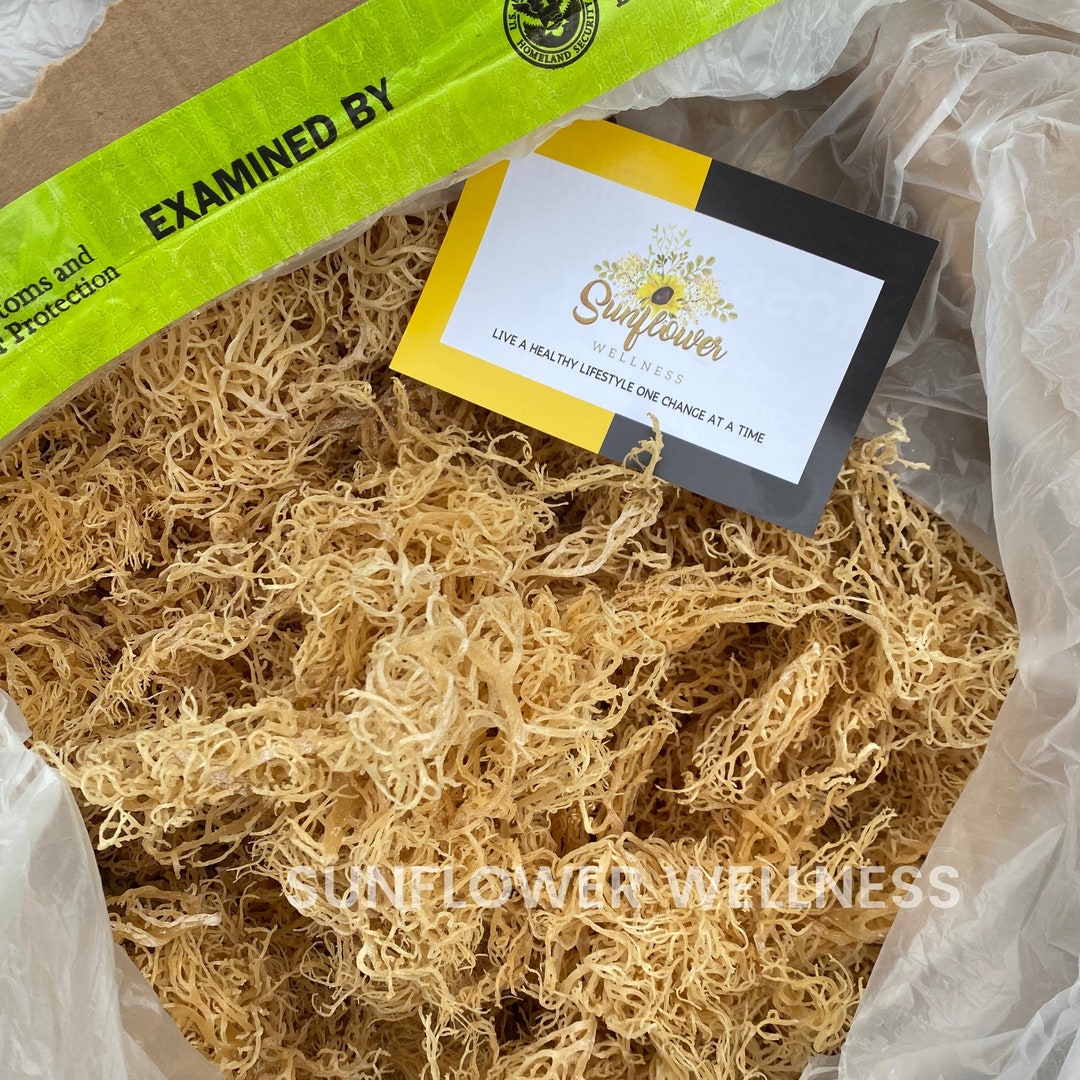 Raw Gold Sea Moss Bulk – St Lucia Organic Irish Sea Moss, Sun Dried ...
