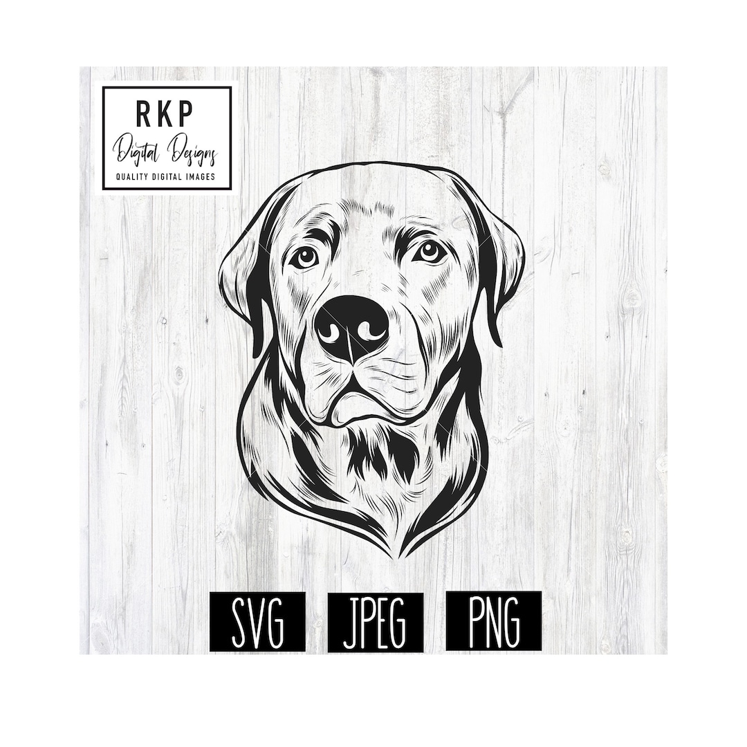 Labrador Retriever, LAB, SVG, PNG, Jpeg Digital Download Image - Etsy