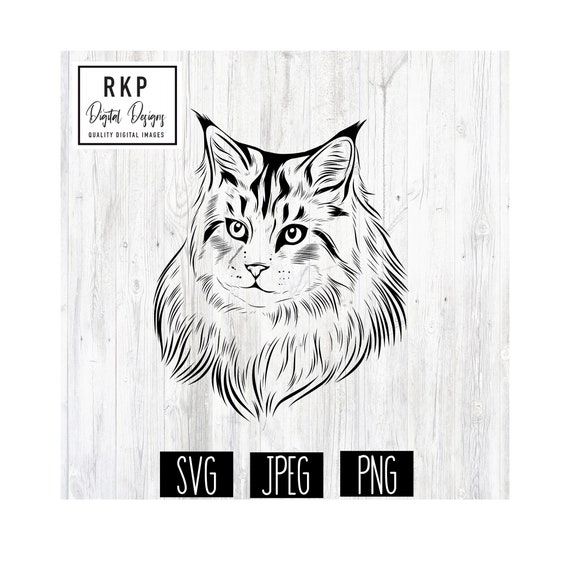 Maine Coon Cat SVG PNG Jpeg Digital Download Image - Etsy