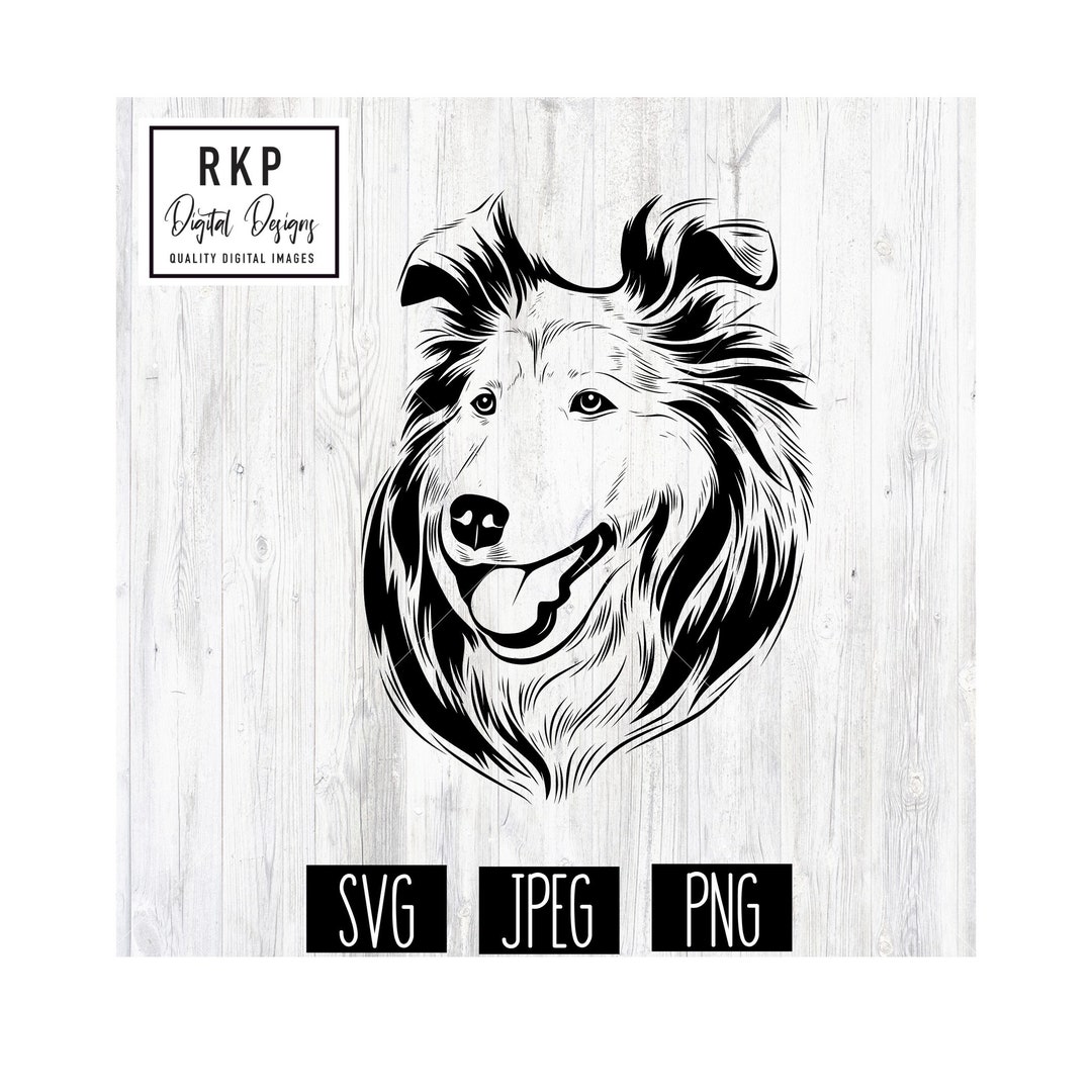 Sheltie SVG, PNG, Jpeg - Digital Download Image - Etsy