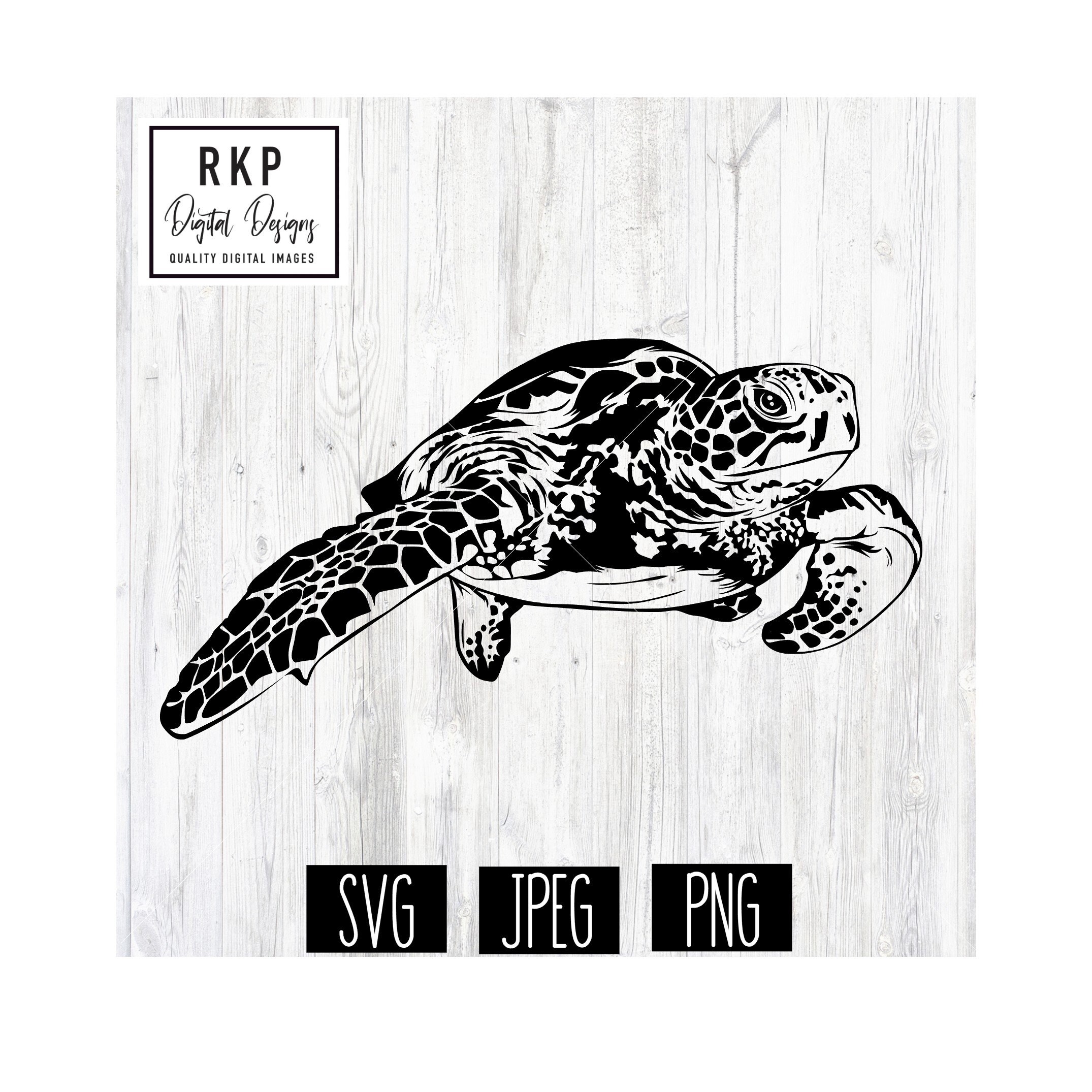 Sea Turtle, SVG, PNG, Jpeg, Digital Image, Instant Download - Etsy