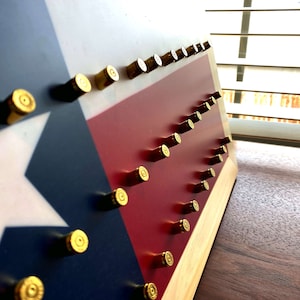 Texas Flag Coin Display, USA Made to the Highest Standards to Showcase ...