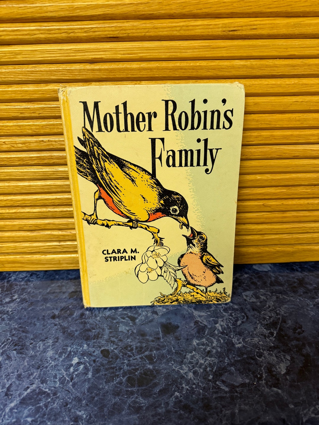 Vintage Mother Robin’s Family by Striplin - Etsy