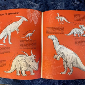 The First Book of Prehistoric Animals-copyright 1954 - Etsy