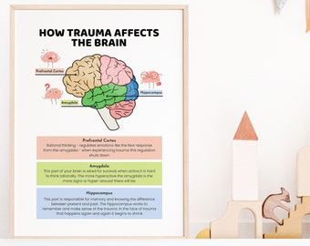 How Trauma Affects the Brain Therapy Office Decor Therapy - Etsy Australia