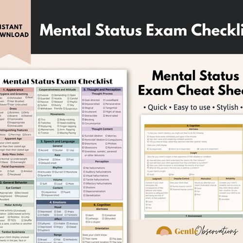 Mental Status Exam MSE Cheat Sheet Therapy Forms Intake - Etsy