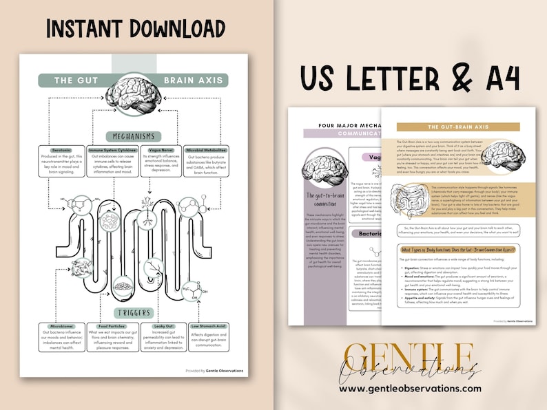 The Gut-brain Axis - Mind Body Connection Psychoeducation Sheets, Happy ...