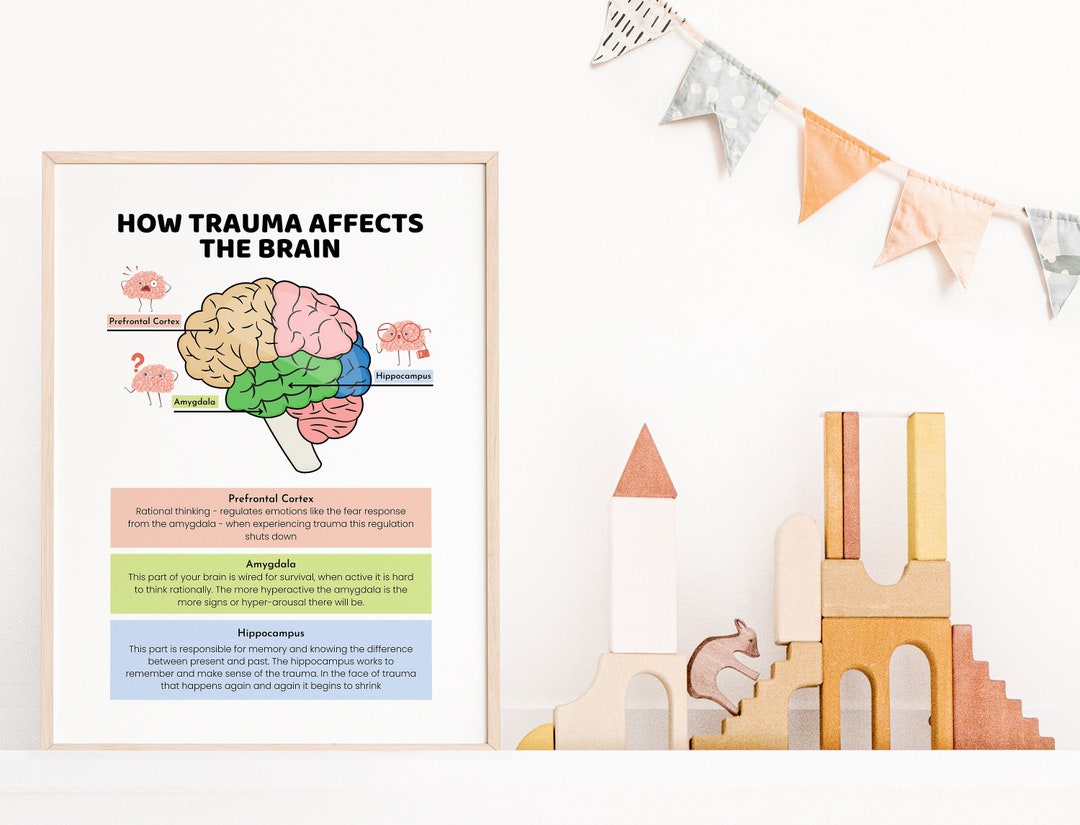 How Trauma Affects the Brain, Therapy Office Decor, Trauma Therapy ...