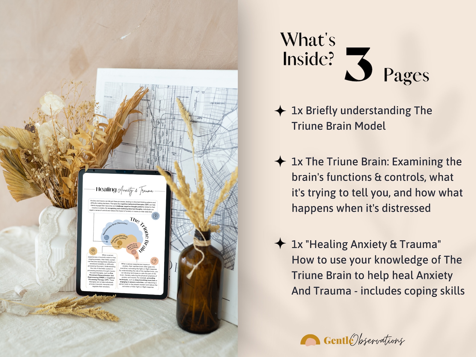 The Triune Brain Model for Healing Anxiety & Trauma Therapy Worksheets ...