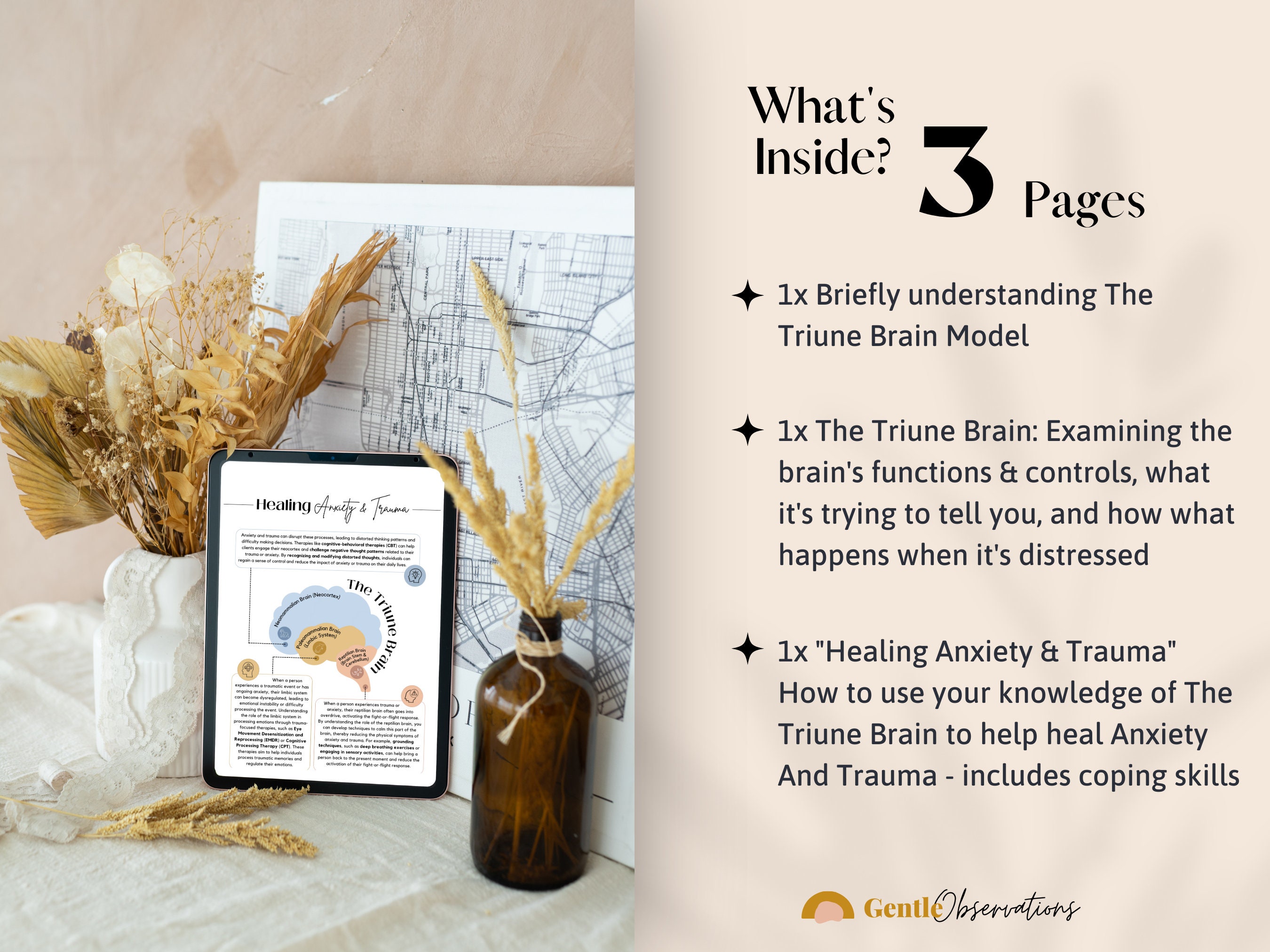 The Triune Brain Model for Healing Anxiety & Trauma Therapy - Etsy