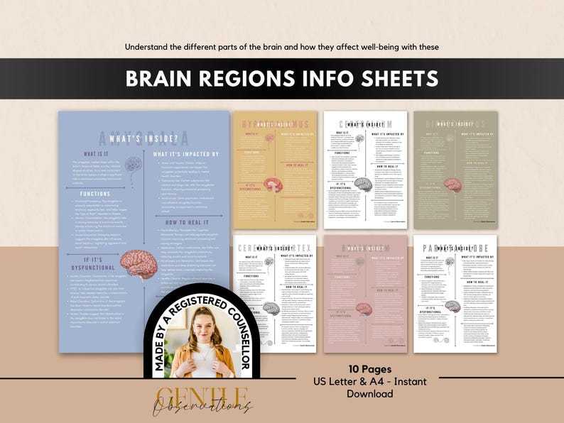 Regions of the Brain Neuroscience Psychoeducation Worksheets for Mental ...