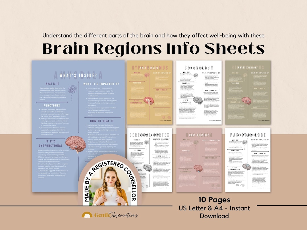 Regions of the Brain Neuroscience Psychoeducation Worksheets for Mental ...