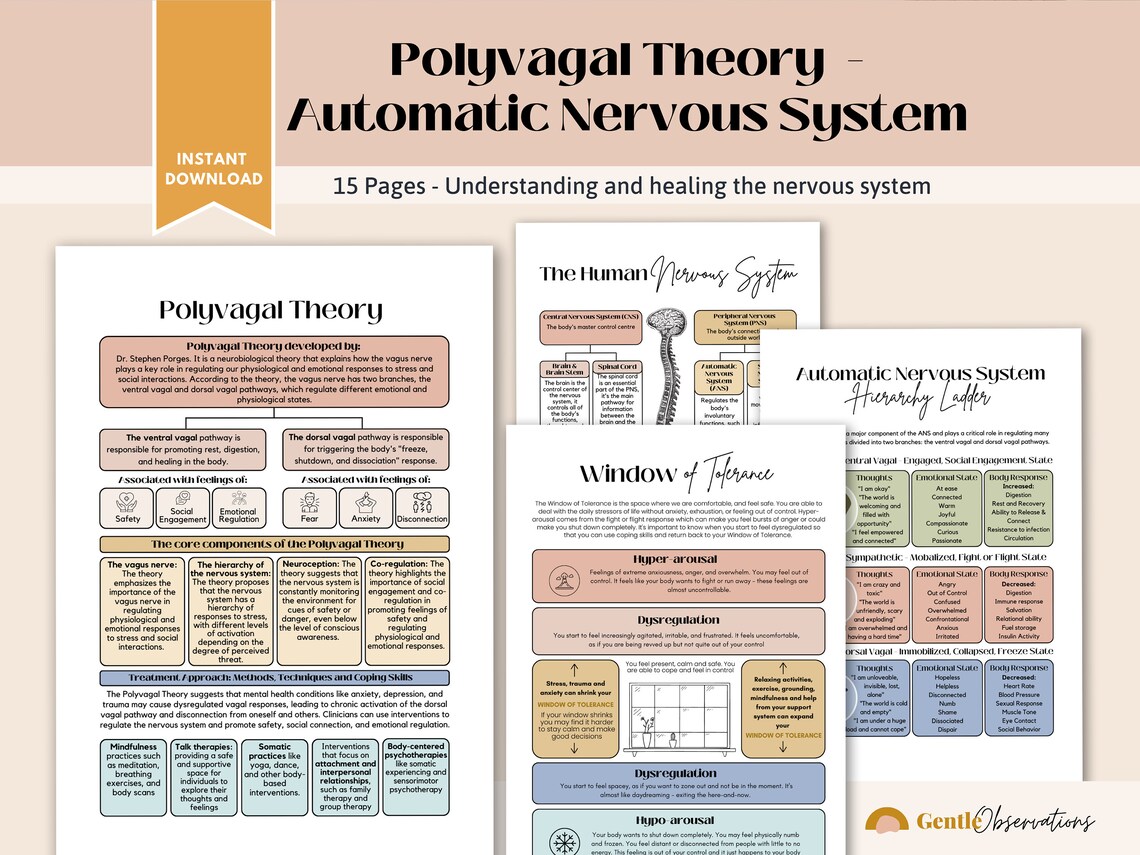 Polyvagal Theory Cheatsheet for Nervous System Regulation, Polyvagal ...