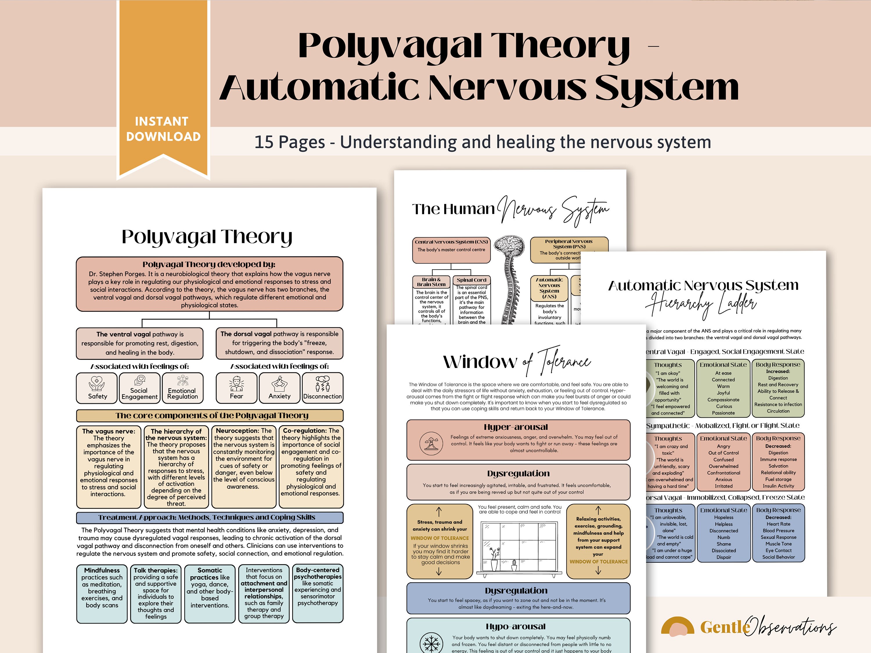 Polyvagal Theory Cheatsheet for Nervous System Regulation - Etsy UK