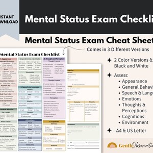 Mental Status Exam MSE Cheat Sheet Therapy Forms Intake - Etsy