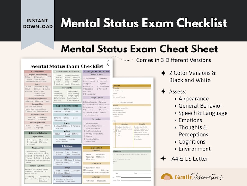 Mental Status Exam MSE Cheat Sheet Therapy Forms Intake - Etsy New Zealand