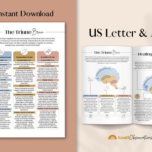 The Triune Brain Model for Healing Anxiety & Trauma Therapy Worksheets ...