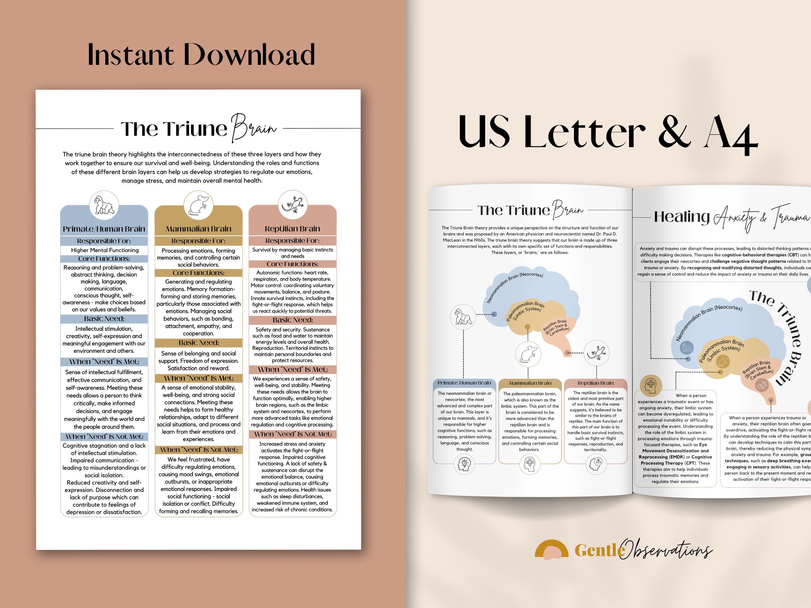 The Triune Brain Model for Healing Anxiety & Trauma Therapy Worksheets ...