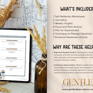 Self-monitoring Executive Functioning Worksheets for Teens & Adults ...
