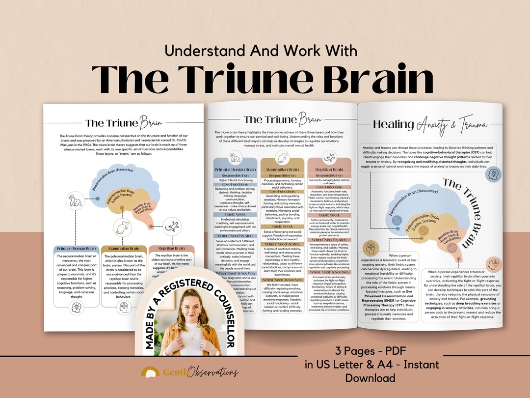 The Triune Brain Model for Healing Anxiety & Trauma Therapy Worksheets ...