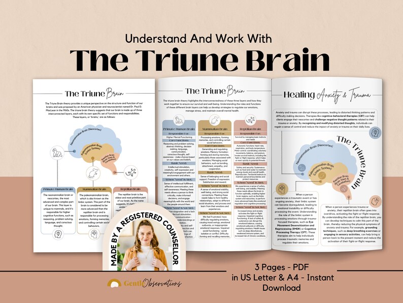 The Triune Brain Model for Healing Anxiety & Trauma Therapy - Etsy