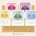 Trauma Reaction Cards for Kids, Identifying Trauma Survival Patterns ...
